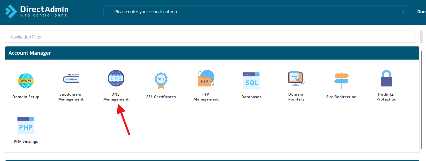 How to Manage DNS Zone in DirectAdmin: A Step-by-Step Guide
